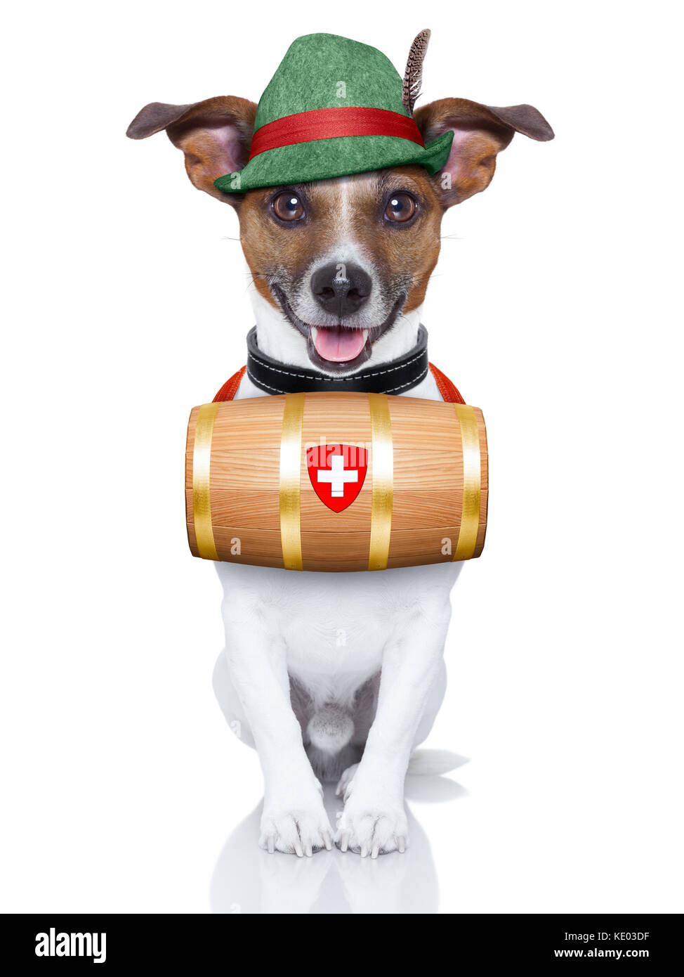 swiss rescue dog with a barrel and a green hat Stock Photo - Alamy