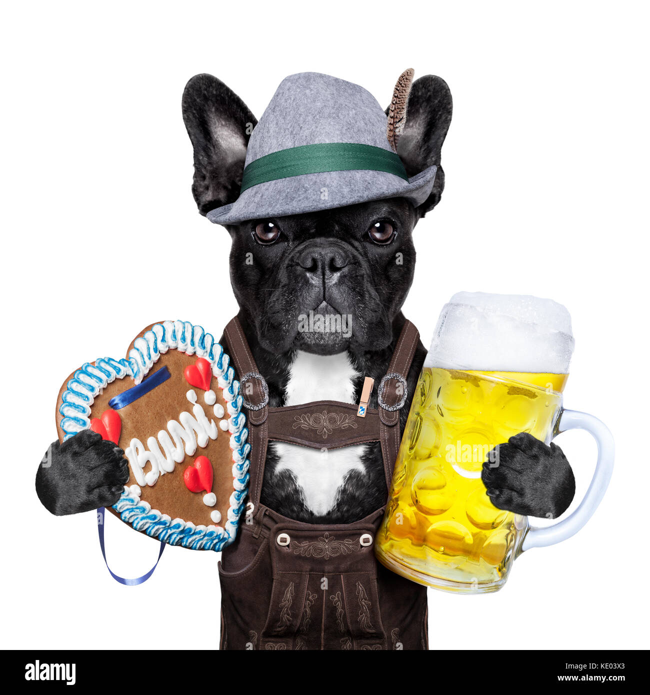 bavarian german dog with beer mug and gingerbread heart Stock Photo - Alamy