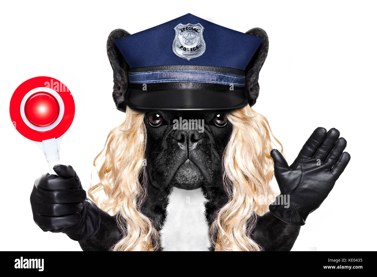policewoman dog ON DUTY WITH stop sign and hand , isolated on white ...