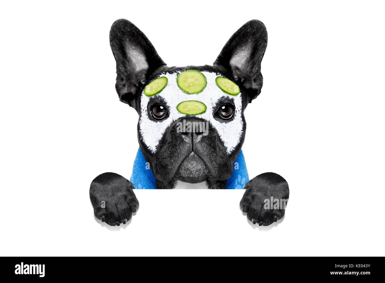 Cucumber center frame hi-res stock photography and images - Alamy