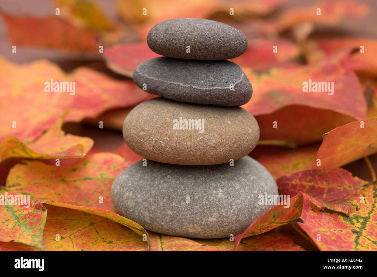 Fall mindfulness hi-res stock photography and images - Alamy