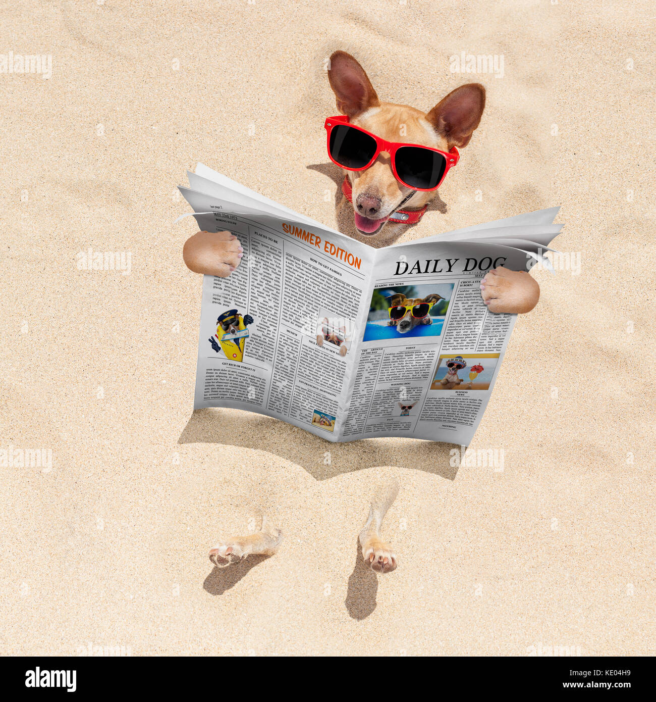 Dog buried in sand High Resolution Stock Photography and Images - Alamy