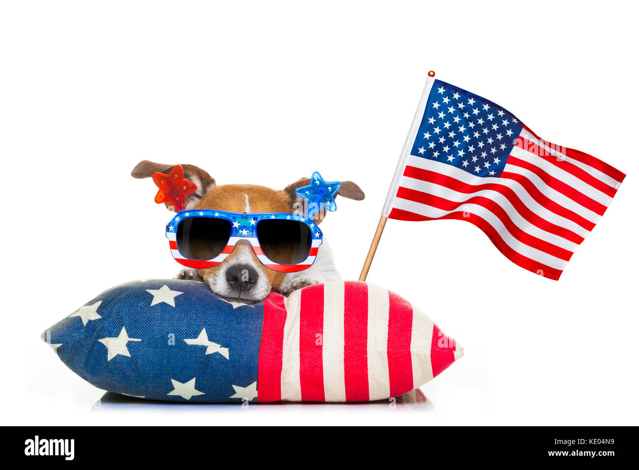 jack russell dog celebrating 4th of july independence day holidays with ...