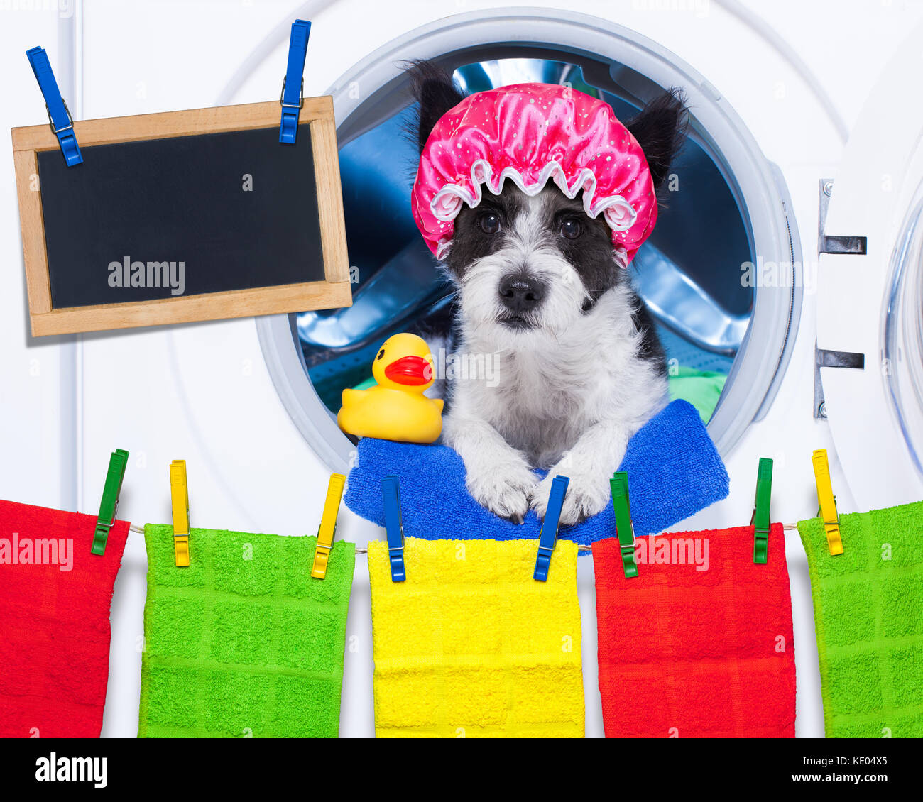 dog inside a washing machine ready to do the chores and homework or ...