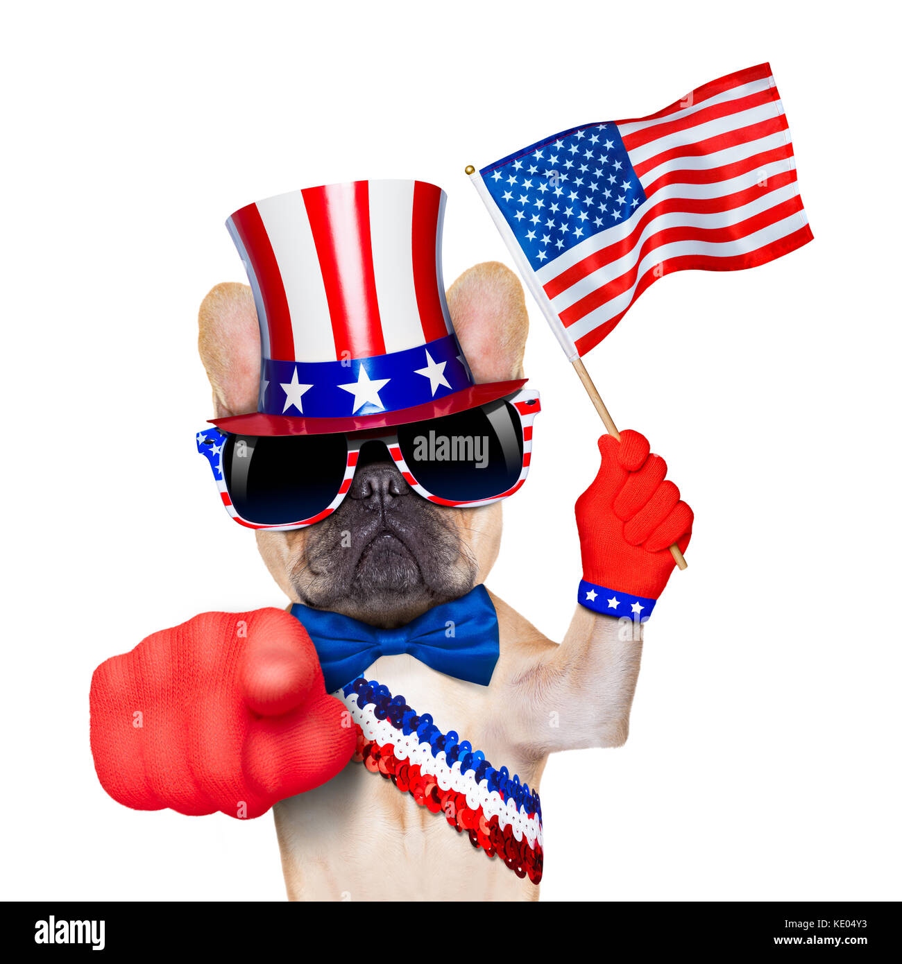 Boxer dog american flag hi-res stock photography and images - Alamy
