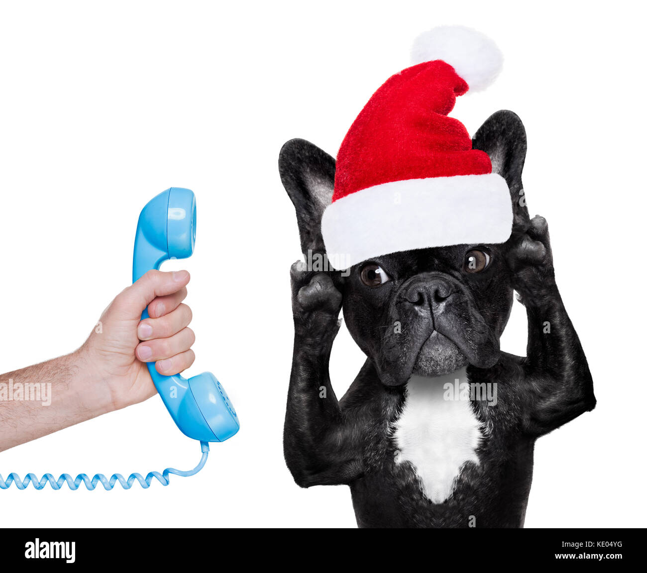 Celebration Cell Cut Out Stock Images & Pictures - Alamy