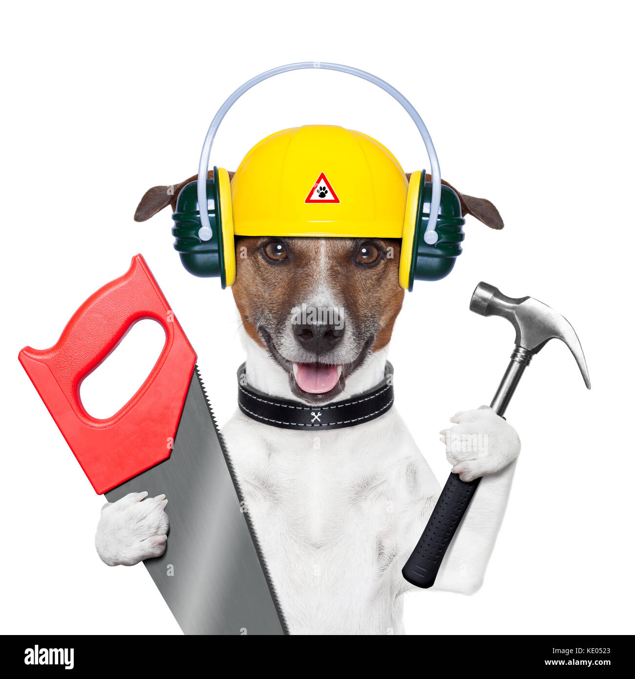 Funny dog saw hammer isolated hi-res stock photography and images - Alamy