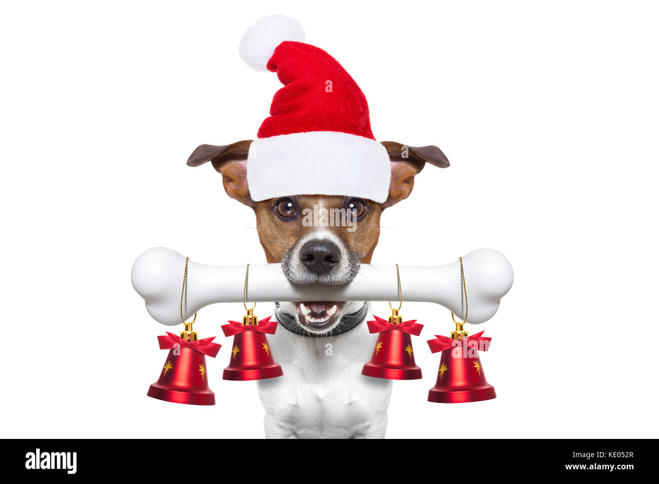 christmas santa claus dog holding a big bone with mouth decoration xmas ...