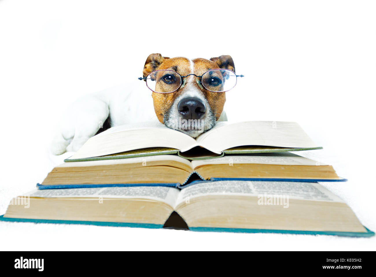 Jack book cover Cut Out Stock Images & Pictures - Alamy