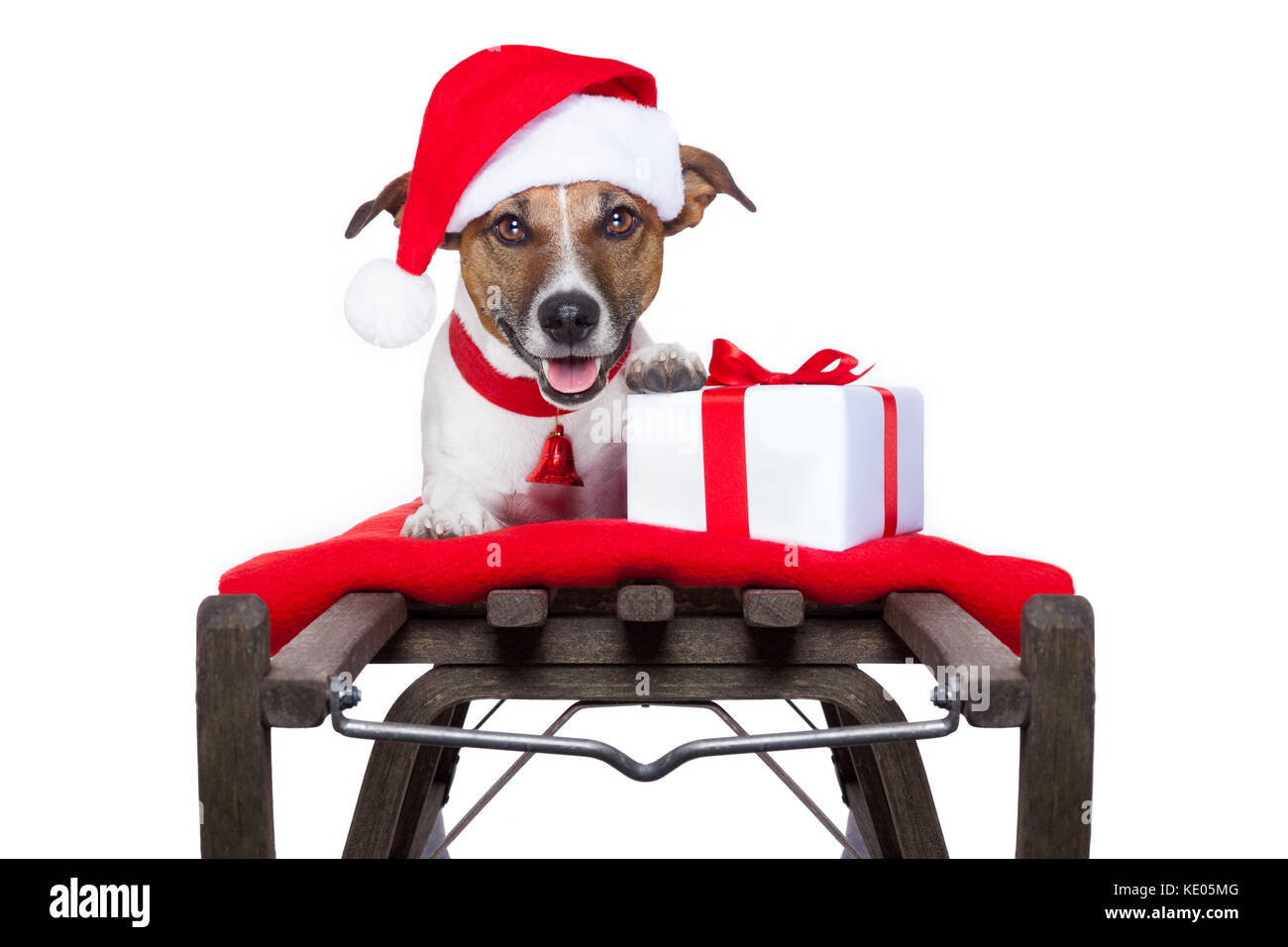 christmas dog on sleigh as santa Stock Photo - Alamy
