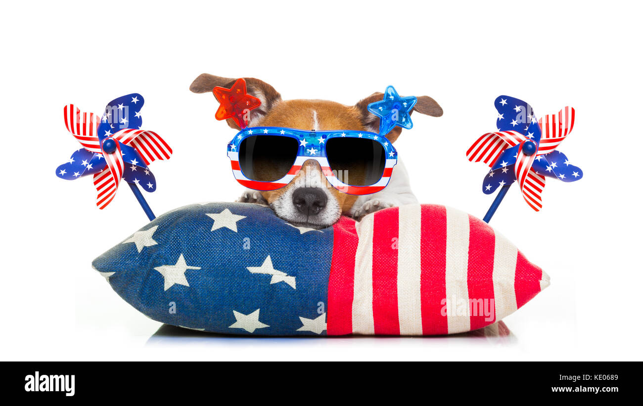 jack russell dog celebrating 4th of july independence day holidays with ...