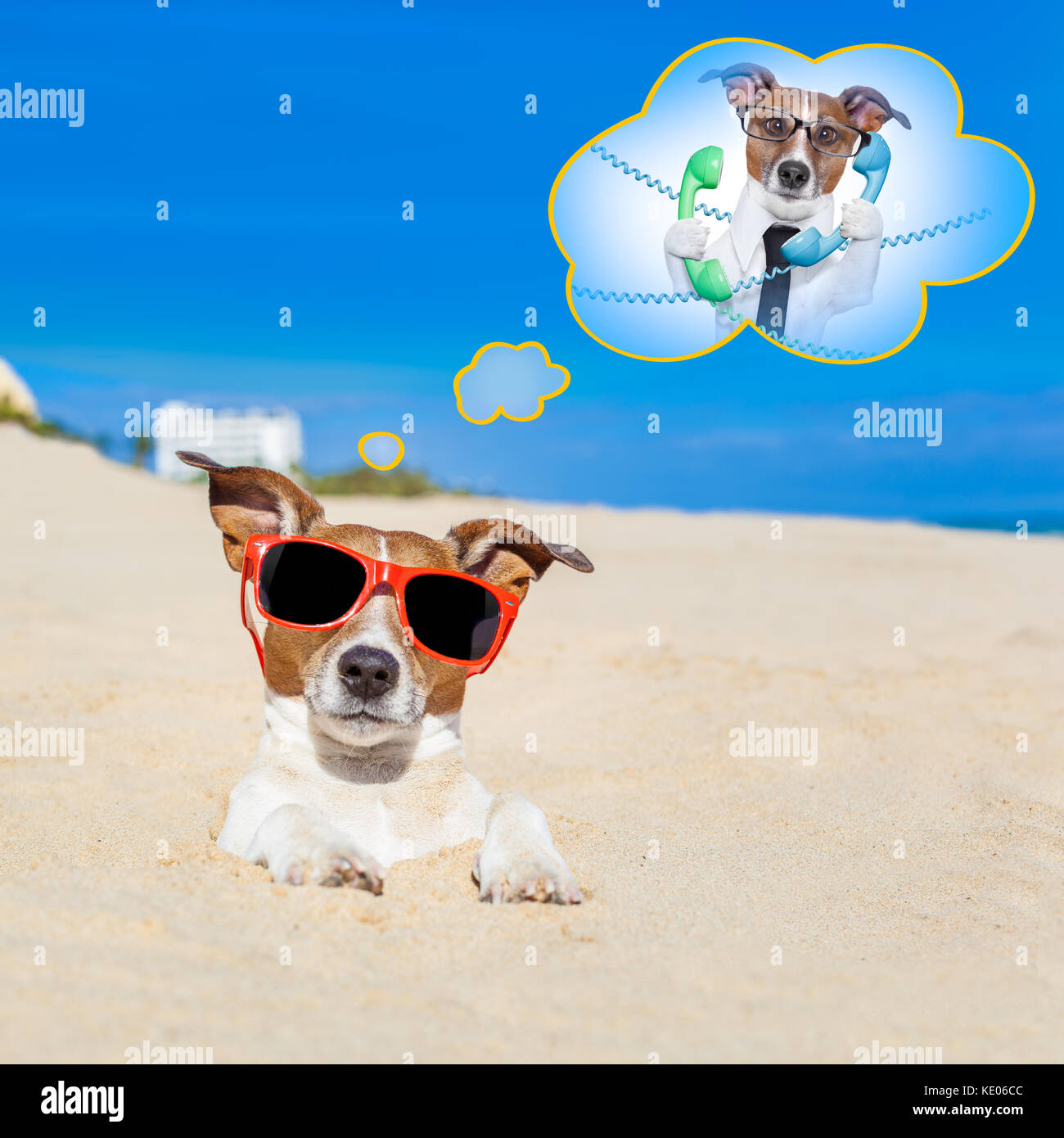 Dog buried in sand High Resolution Stock Photography and Images - Alamy