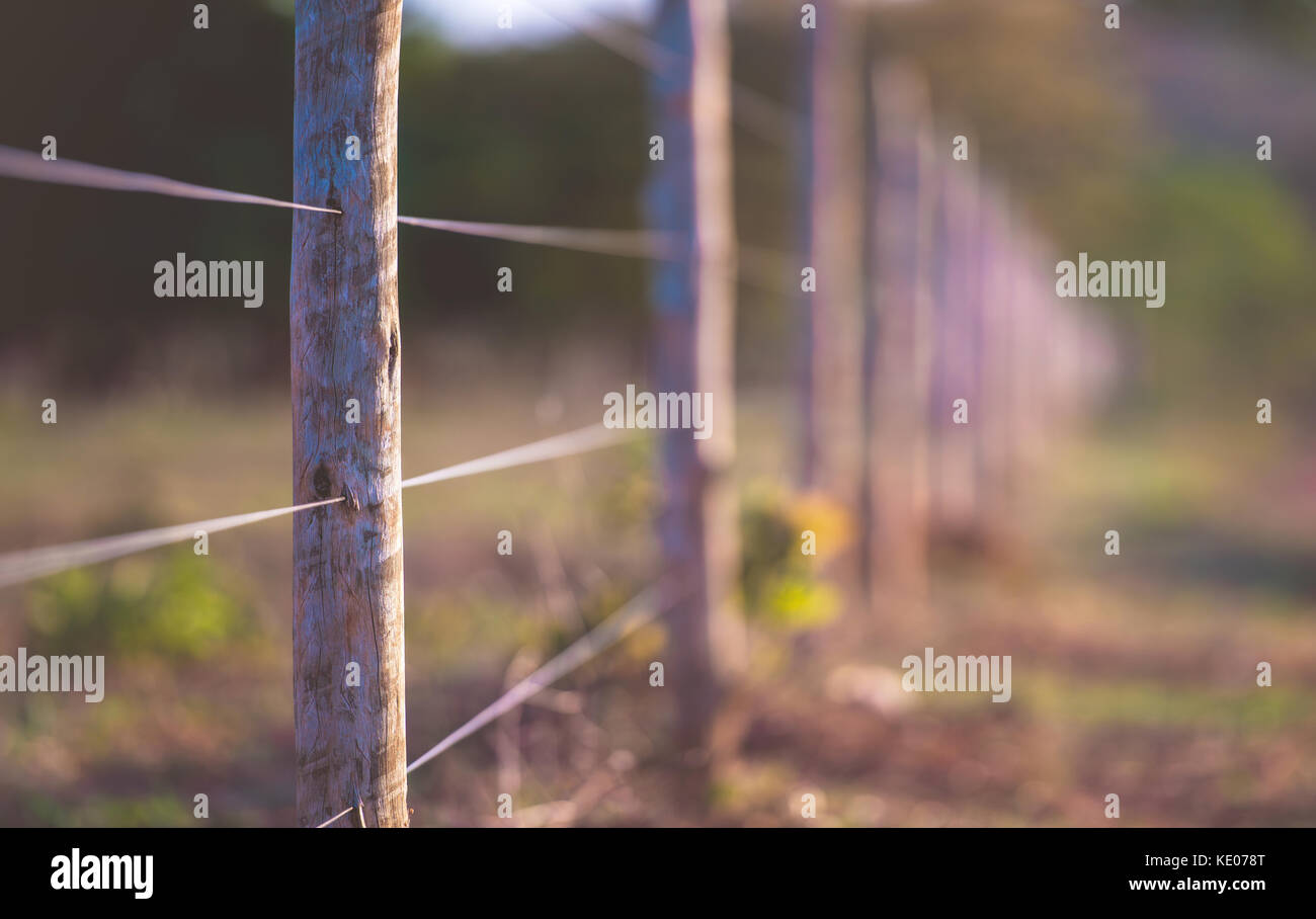 Fence made of wire and wooden log outdoors Stock Photo - Alamy