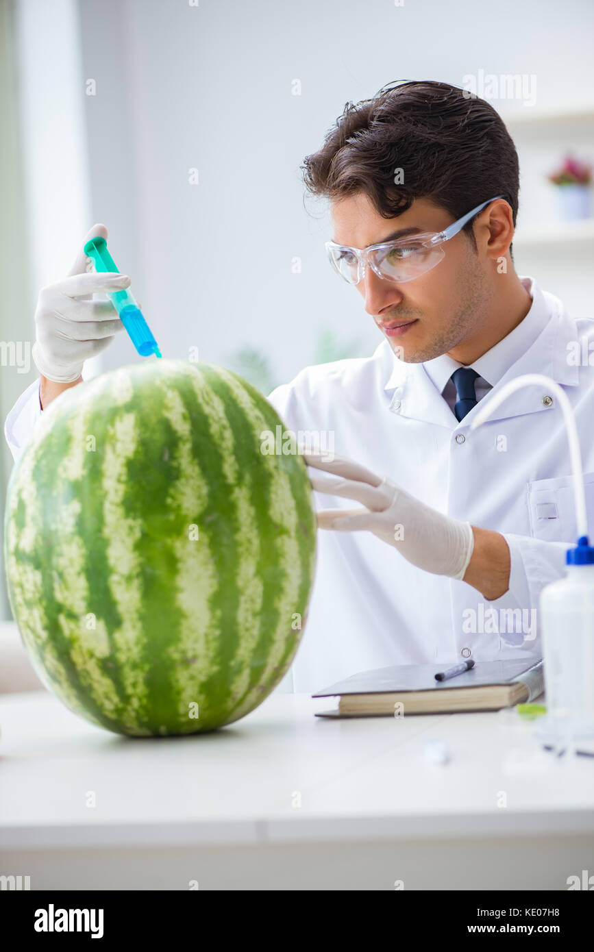 Scientist testing watermelon in lab Stock Photo - Alamy