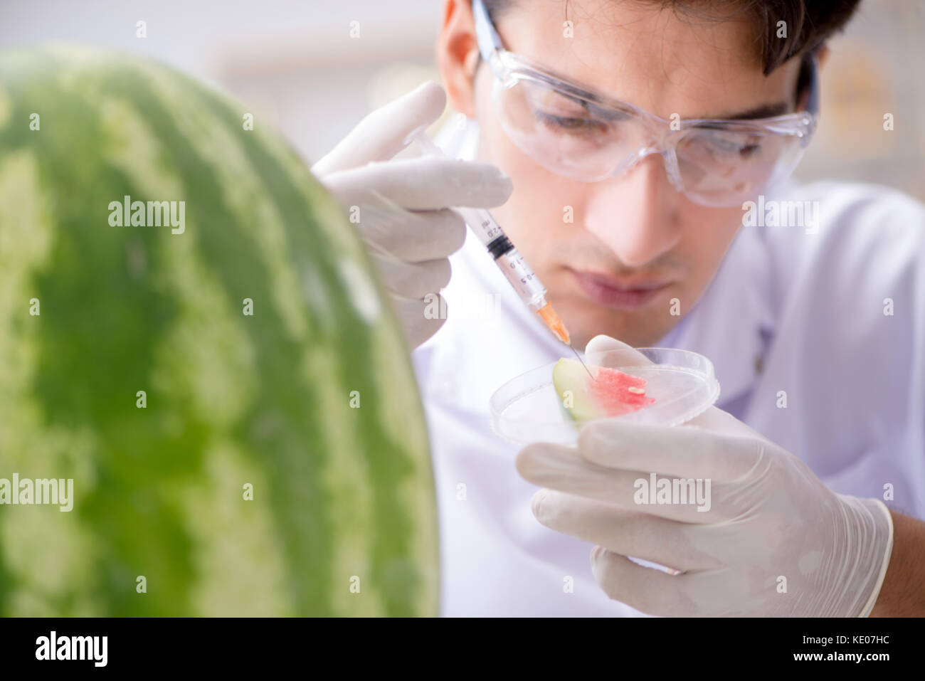 Scientist testing watermelon in lab Stock Photo - Alamy