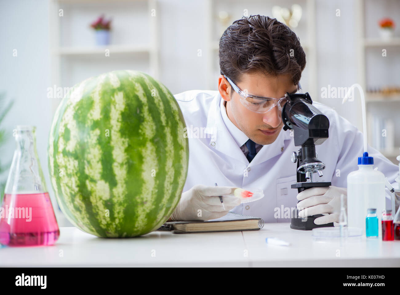 Scientist testing watermelon in lab Stock Photo - Alamy