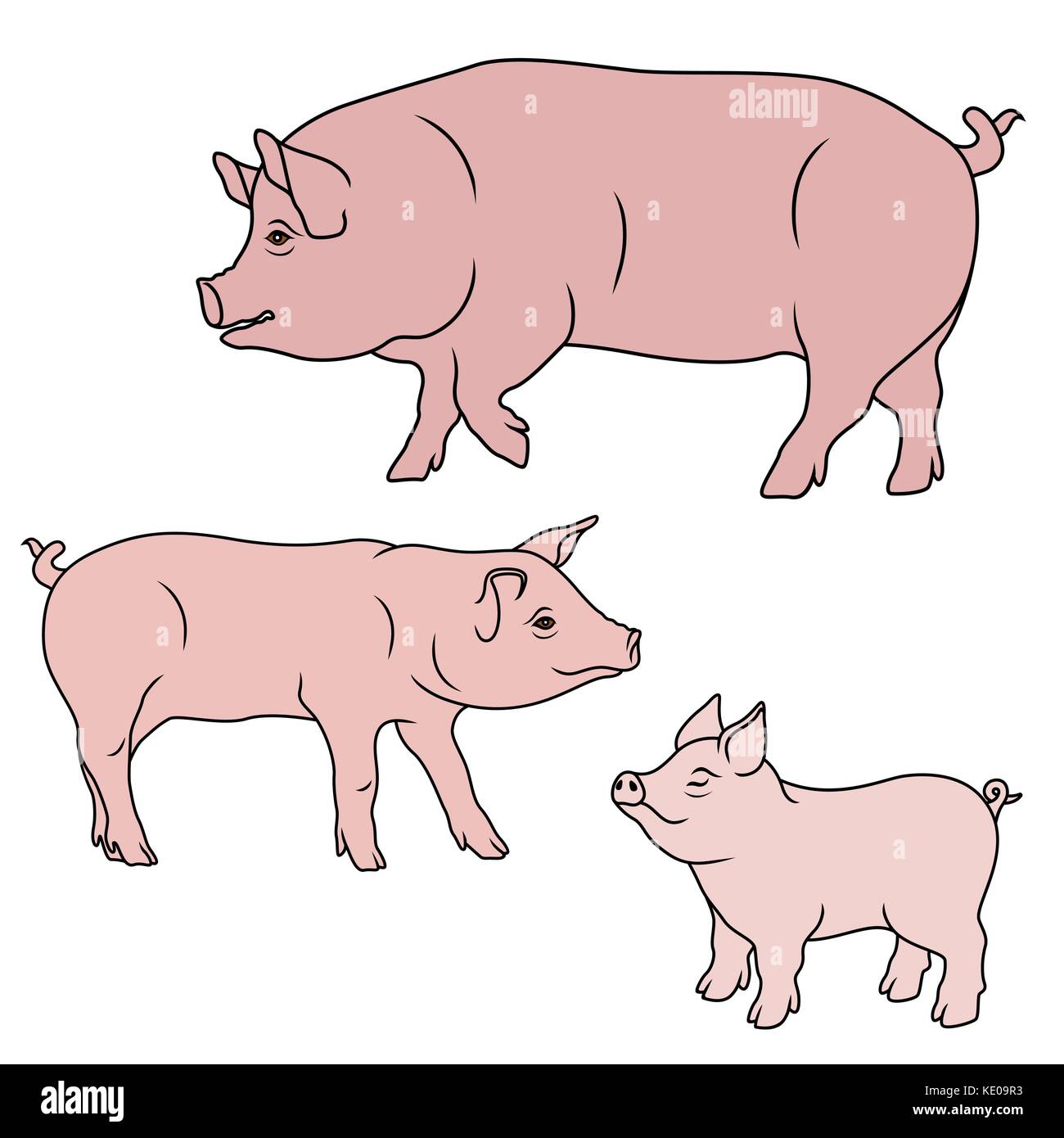Big Pig, Sow and Piglet, cartoon vector illustrations isolated on the ...