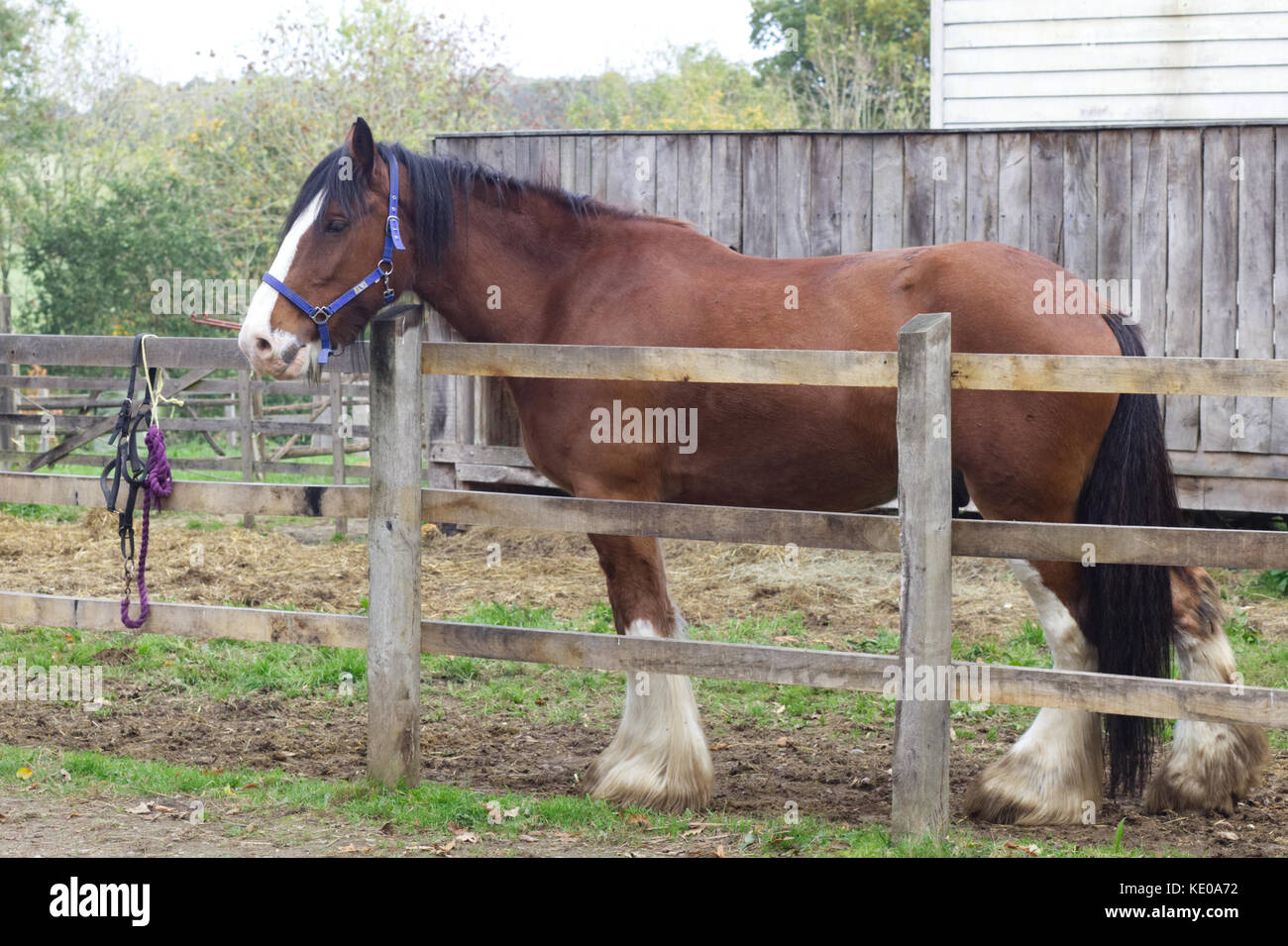 Farm yard building tradition hi-res stock photography and images - Alamy
