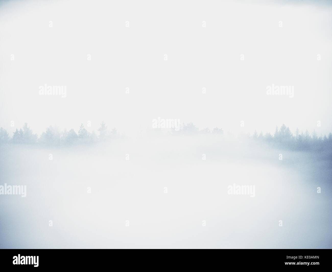 Cold misty blue morning. A minute before sunrise in a beautiful valley ...