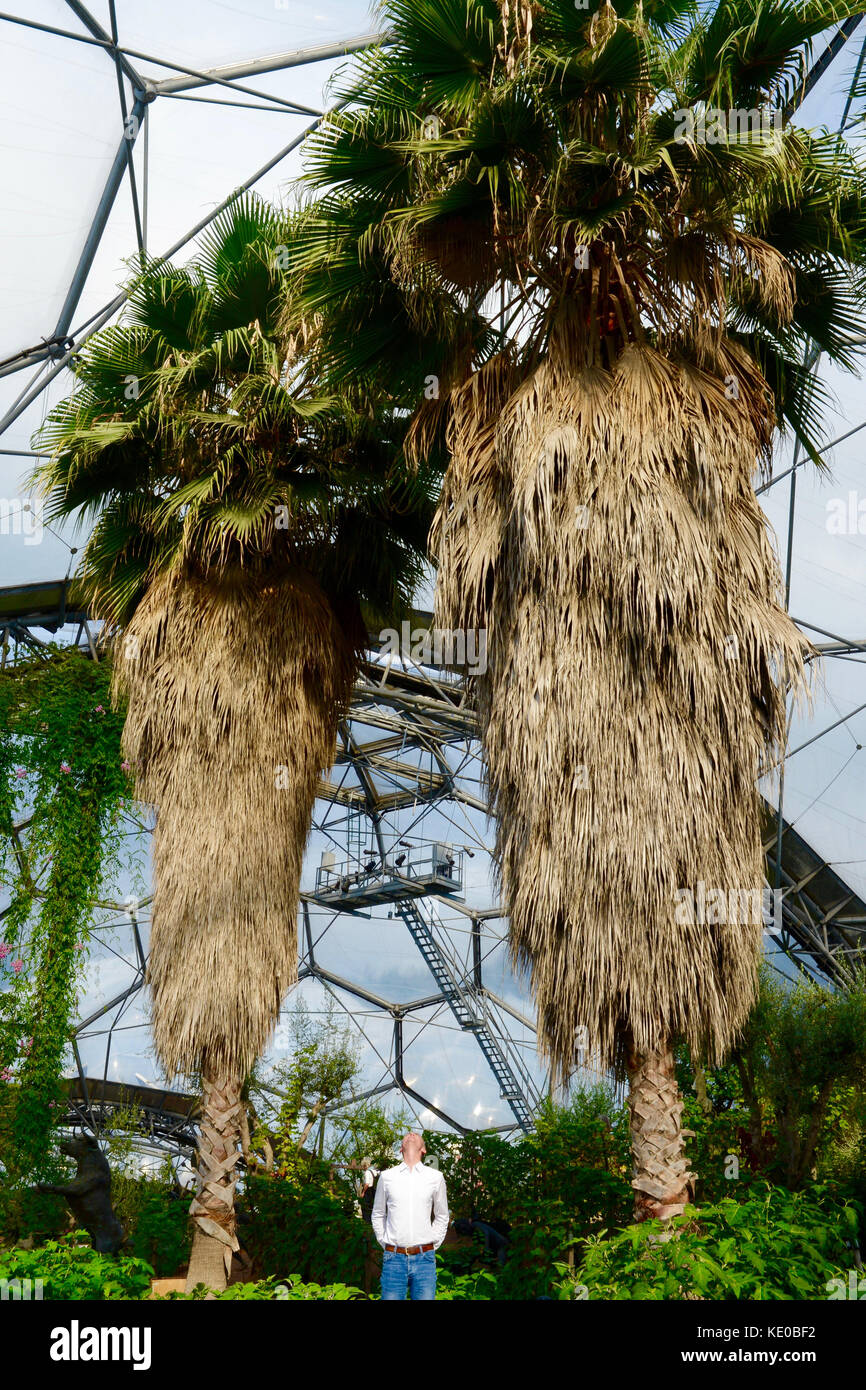 Gordon Seabright, CEO Eden Project Stock Photo - Alamy