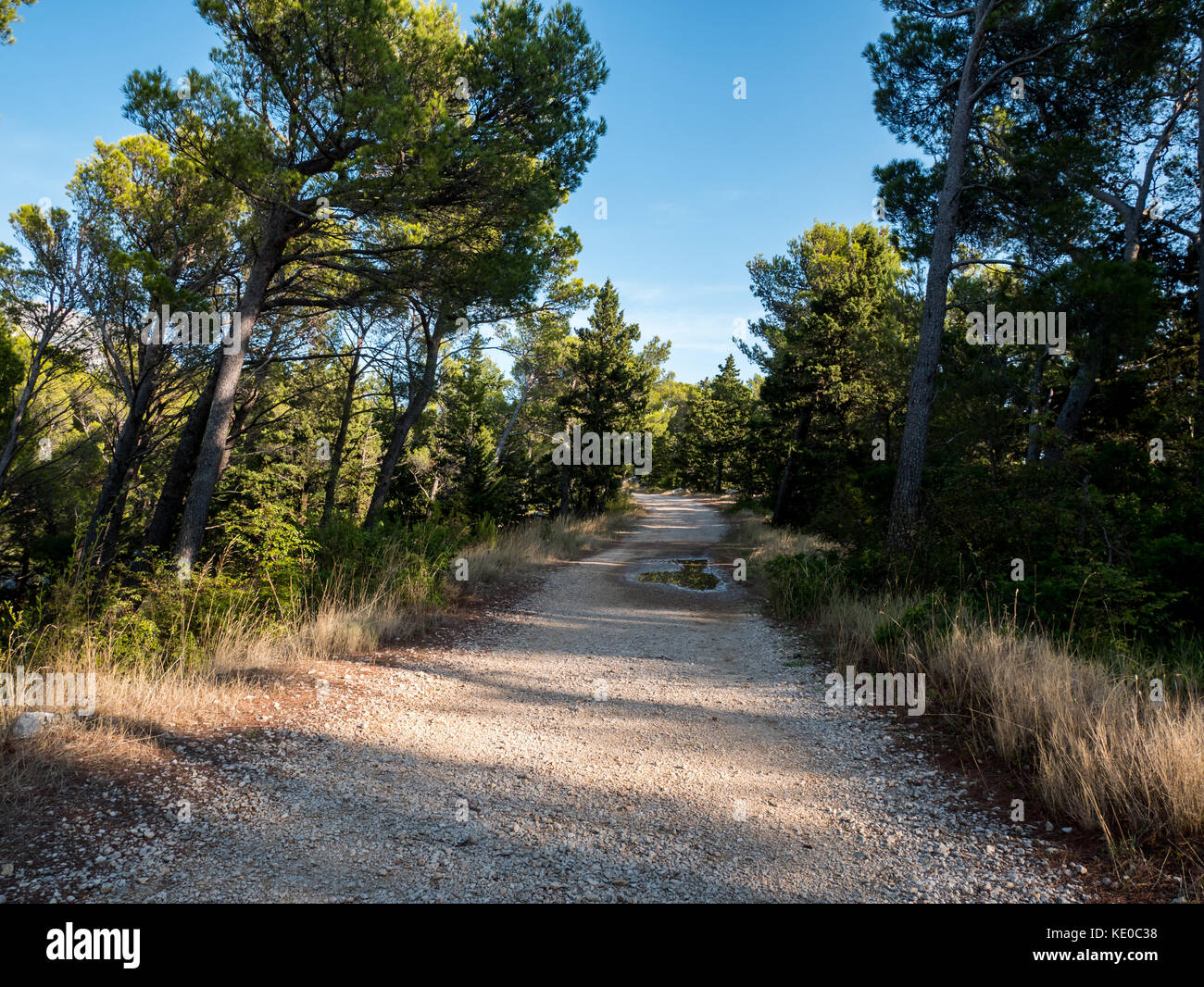 Pinewood Road High Resolution Stock Photography and Images - Alamy