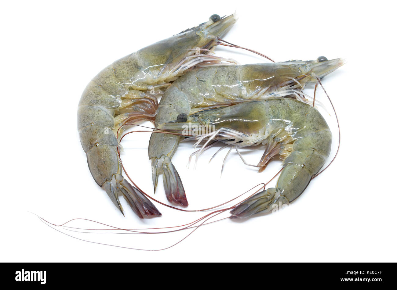 Fresh raw prawns isolated on white background Stock Photo - Alamy