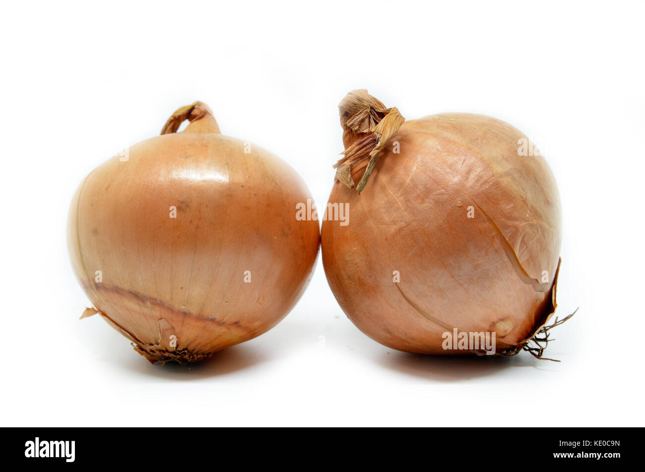Two onion bulbs isolated on white background Stock Photo - Alamy