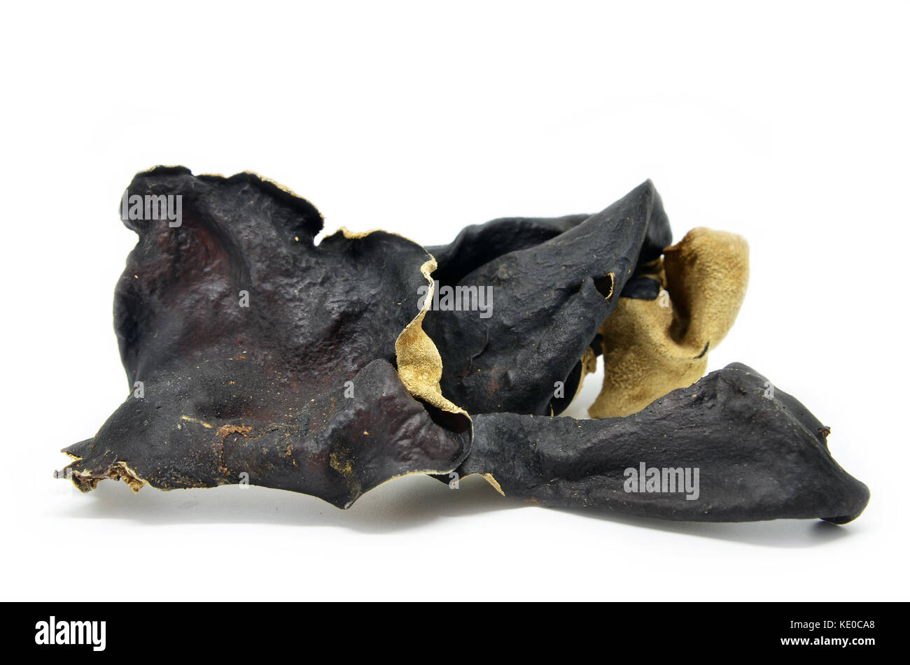 Dried chinese delicacy black muer fungus isolated over white Stock ...