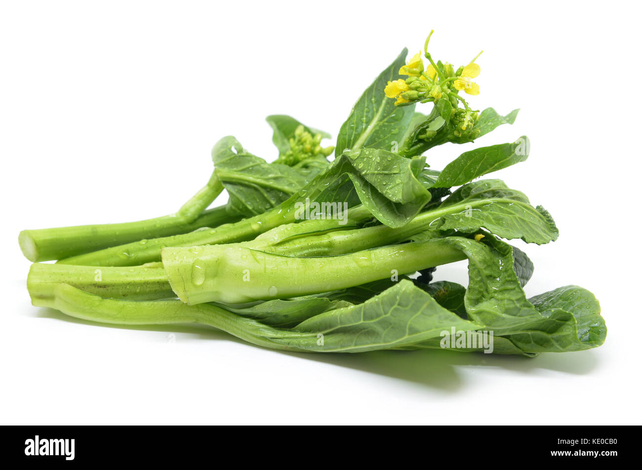 Bunch of floral choy sum green vegetable popular among the Chinese ...