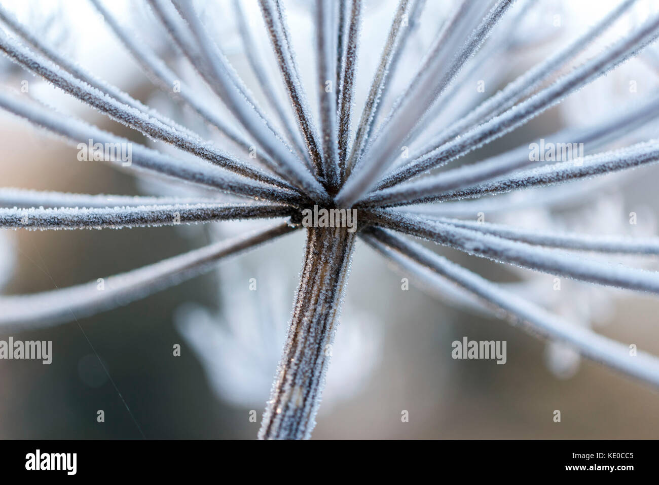 icy winter scene Stock Photo - Alamy