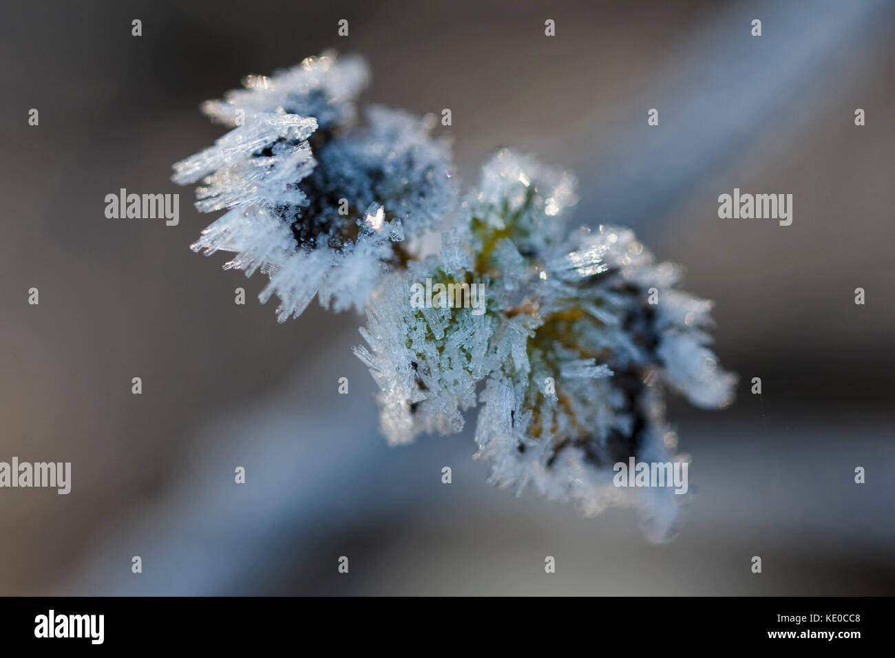 icy winter scene Stock Photo - Alamy