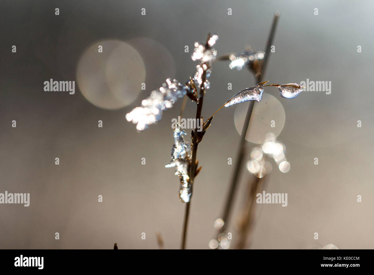 icy winter scene Stock Photo - Alamy