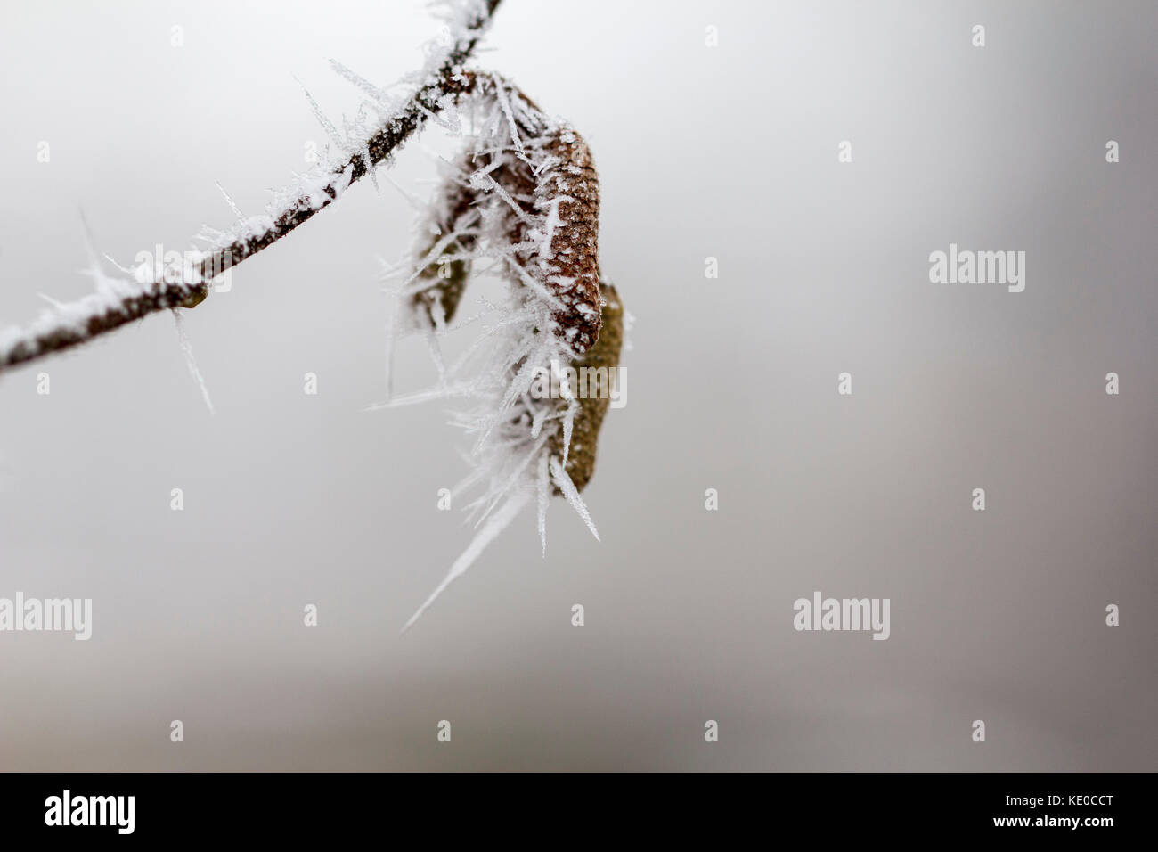 icy winter scene Stock Photo - Alamy