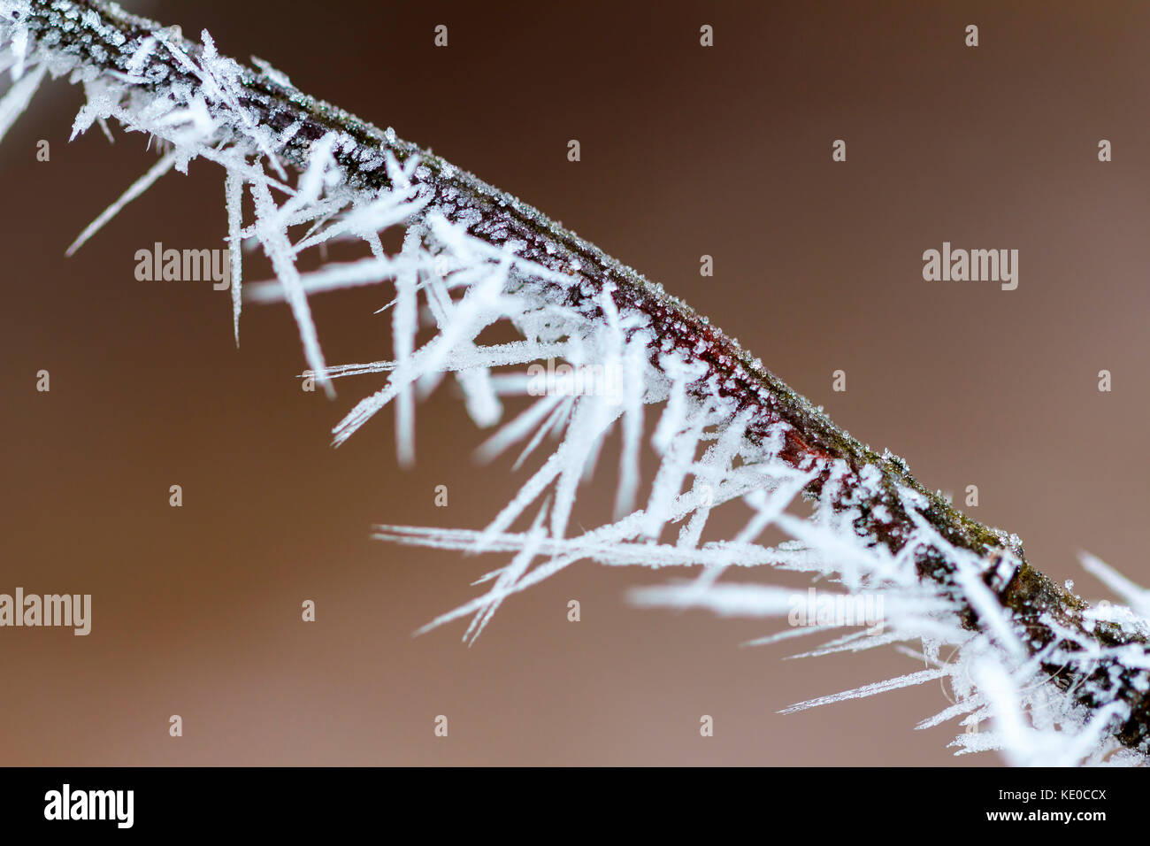 icy winter scene Stock Photo - Alamy