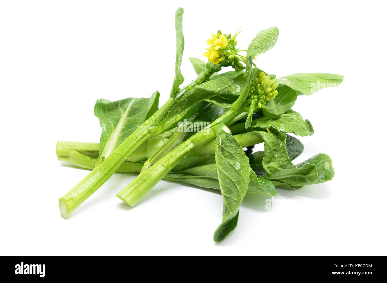 Bunch of floral choy sum green vegetable popular among the Chinese ...