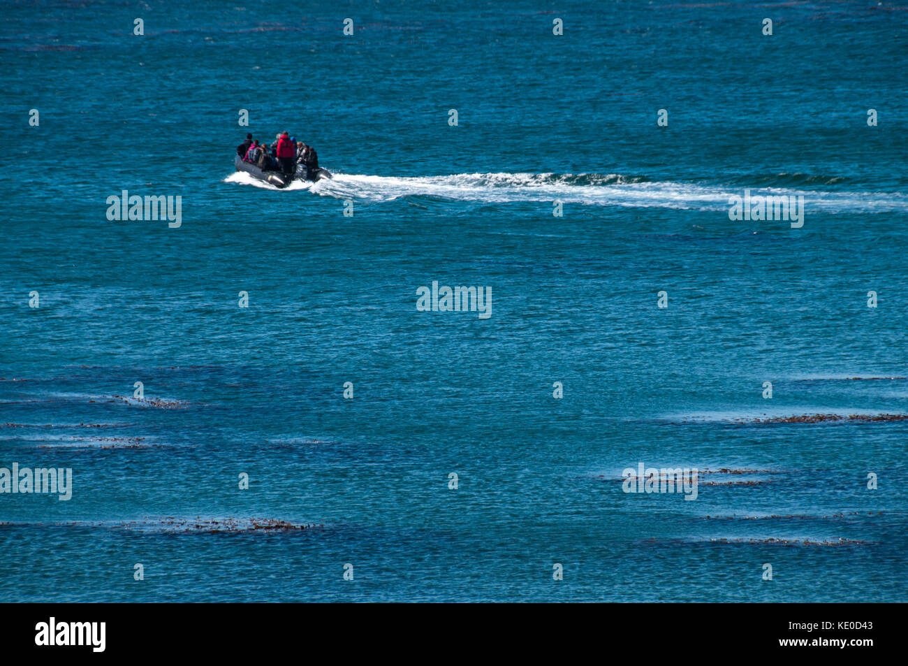 Back on Board Stock Photo - Alamy