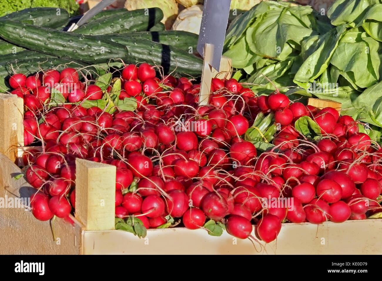 Fresh red radishes in wooden crate sold on market Stock Photo - Alamy