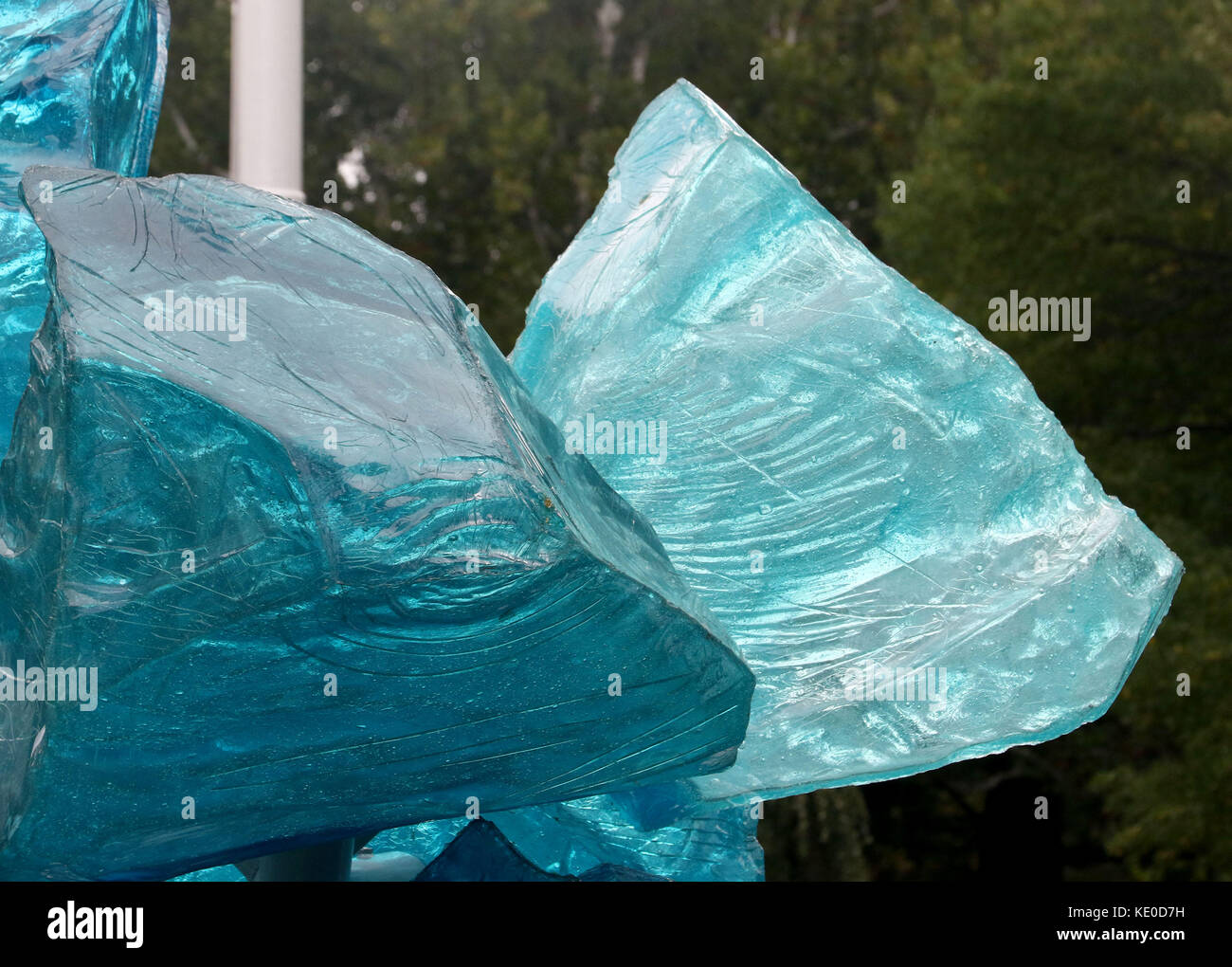 Bronx, New York, USA. 16th Oct, 2017. A detail view of 'Blue Polyvitro ...