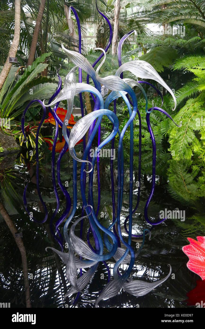 Bronx, New York, USA. 16th Oct, 2017. 'Persian pond and Fiori' (Blown ...