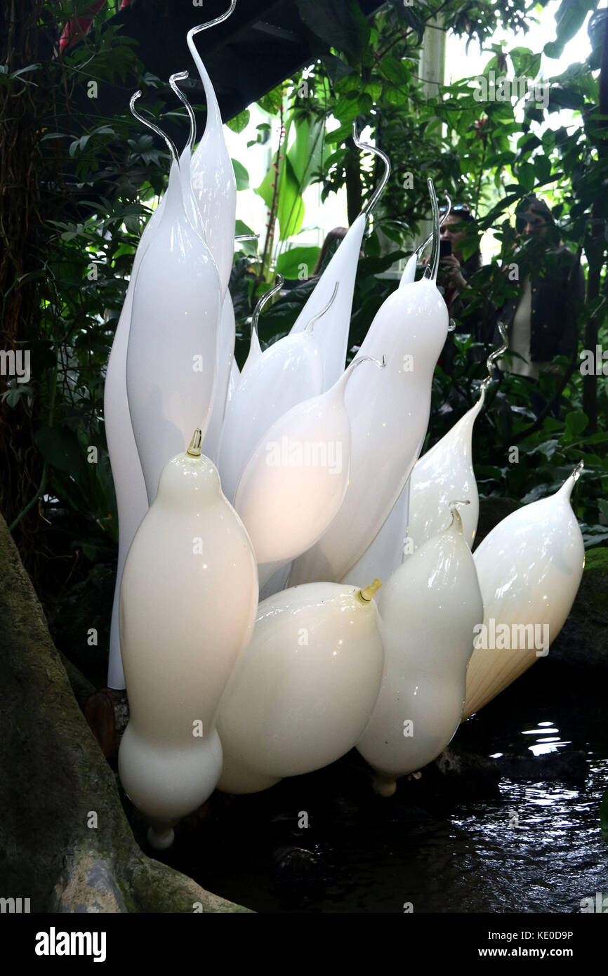 Dale chihuly white belugas hi-res stock photography and images - Alamy