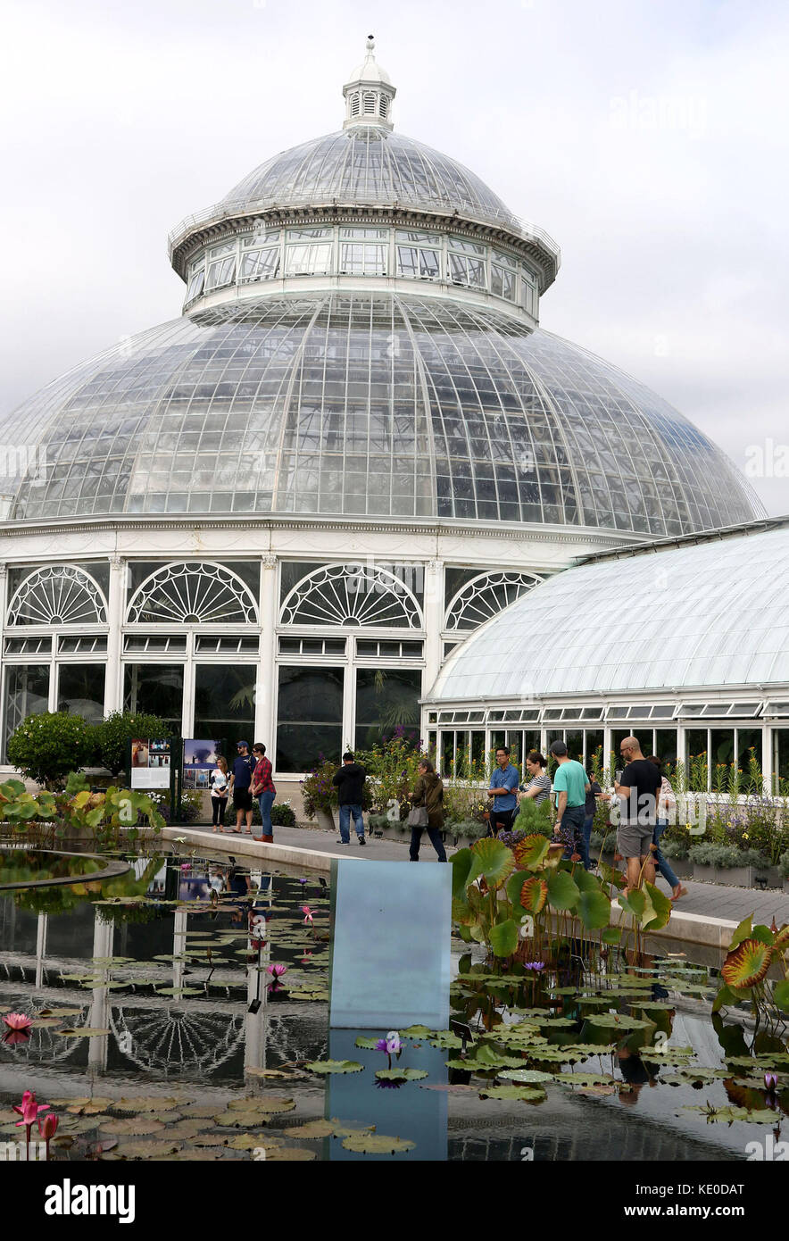 Victorian conservatory artwork hi-res stock photography and images - Alamy