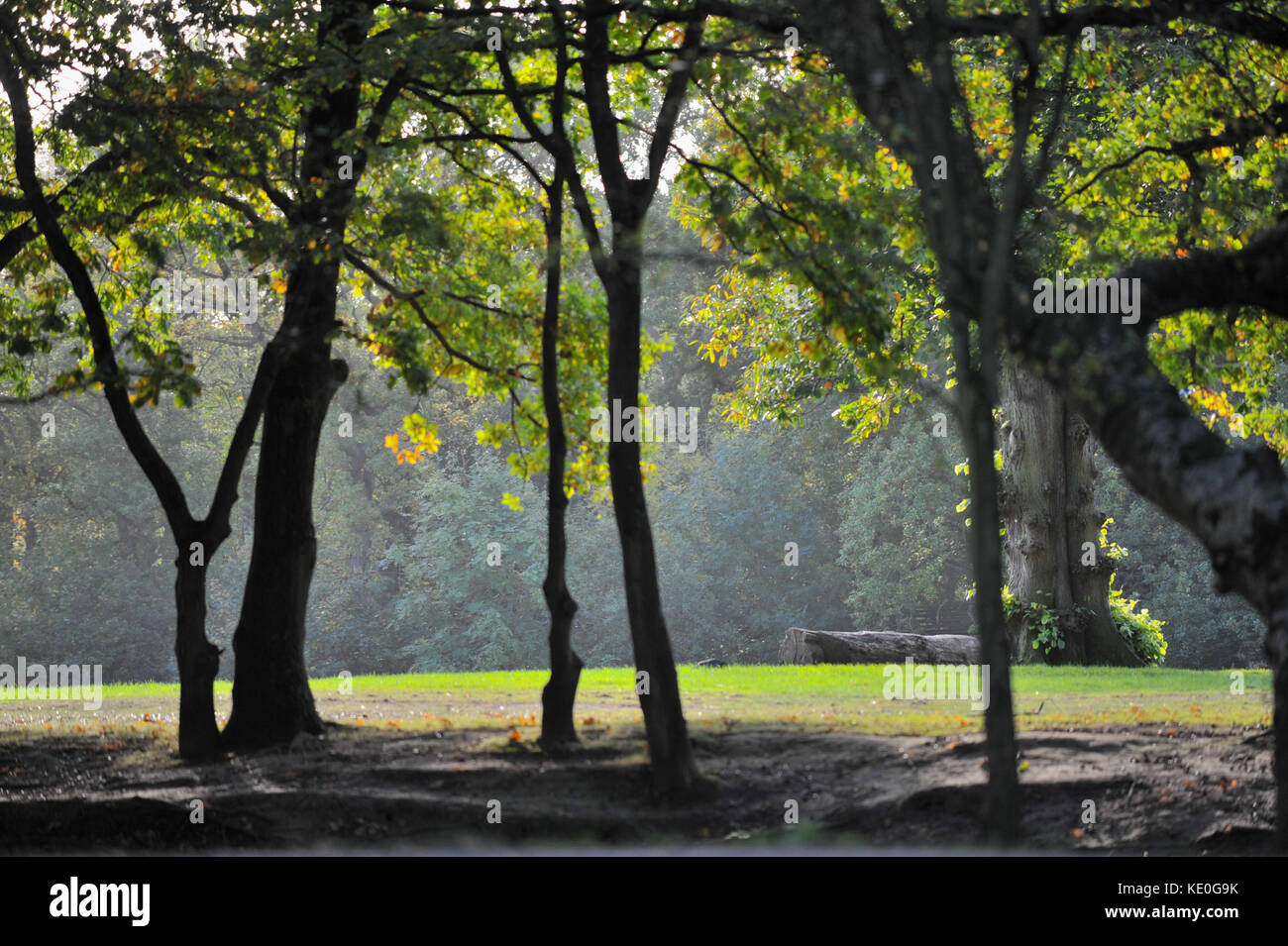 Trent Park, London, UK. 17th Oct, 2017. Autumn colours in Trent Park in ...