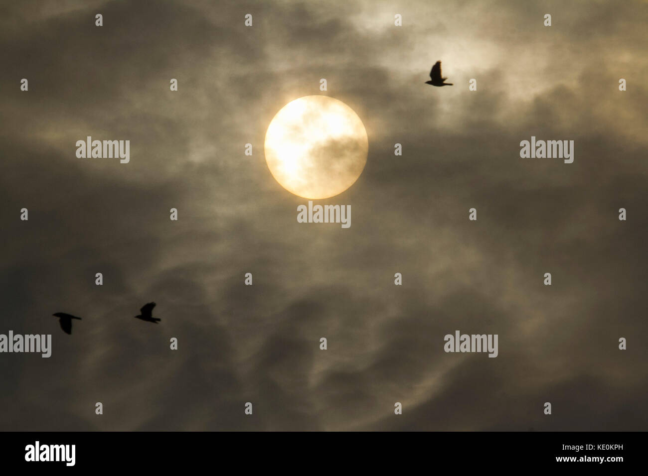 London, UK. 17th Oct, 2017. The sun appears against a darkened a ...