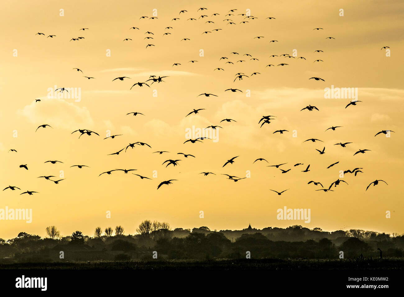 Amber iceland hi-res stock photography and images - Alamy