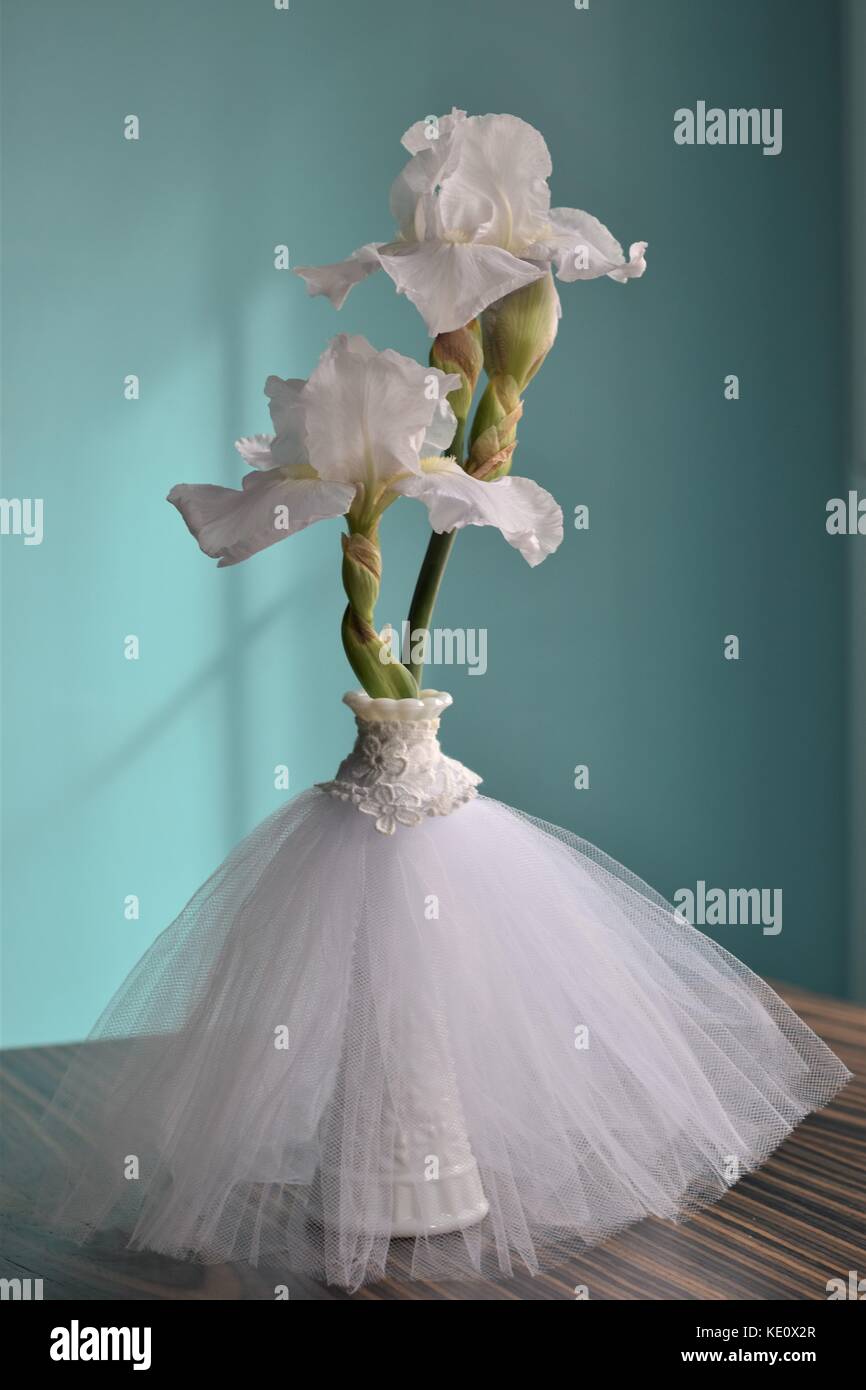 Bridal in a vase Stock Photo - Alamy