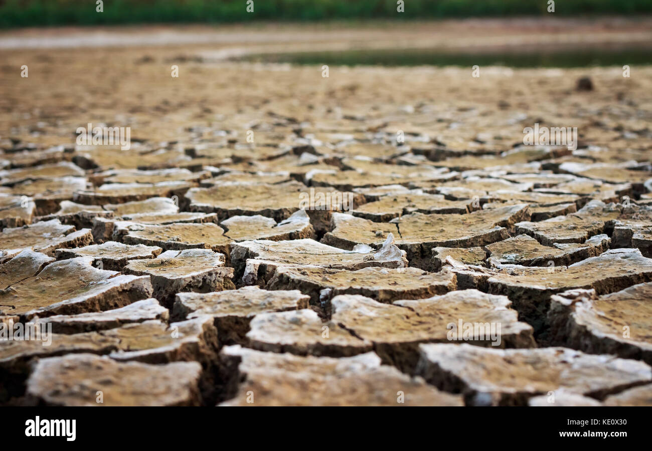 Climate change, the ground is dry, drought, cracked ground Stock Photo ...