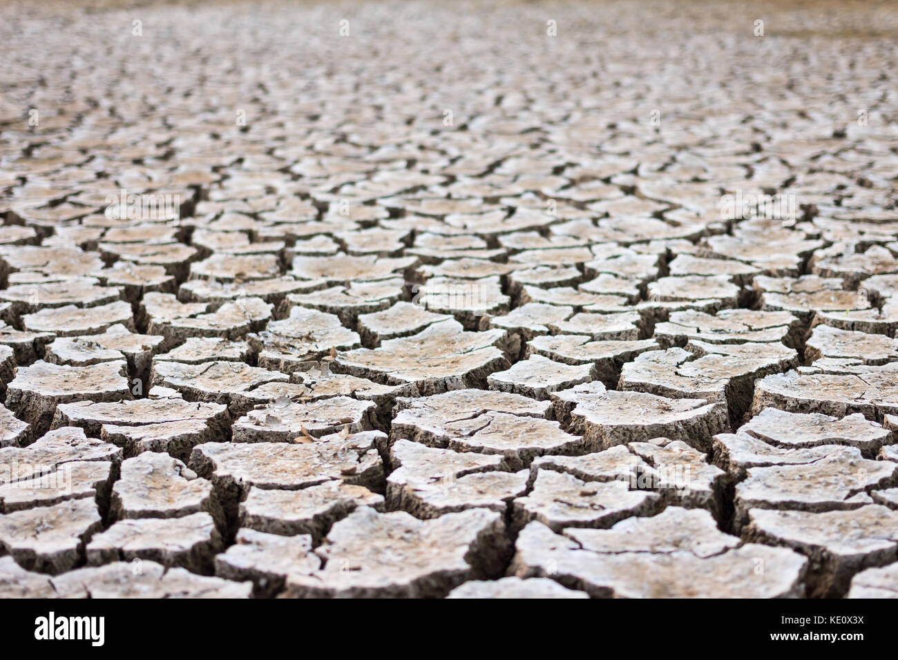 Climate change, the ground is dry, drought, cracked ground Stock Photo ...