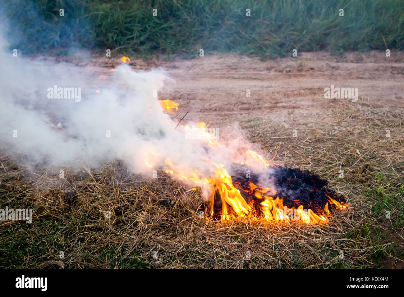 Dry leaves on fire hi-res stock photography and images - Alamy