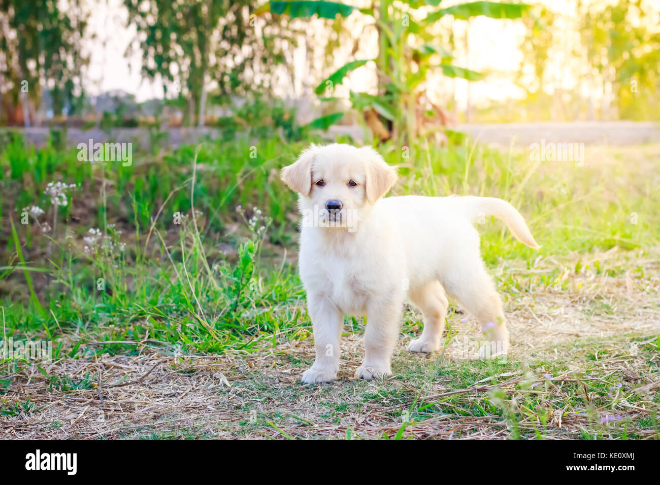 Little stand hi-res stock photography and images - Alamy