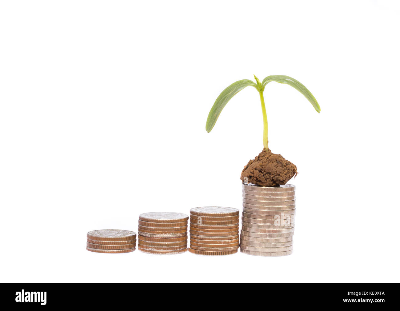 coins on white background with young plant ,Money growth concept Stock ...